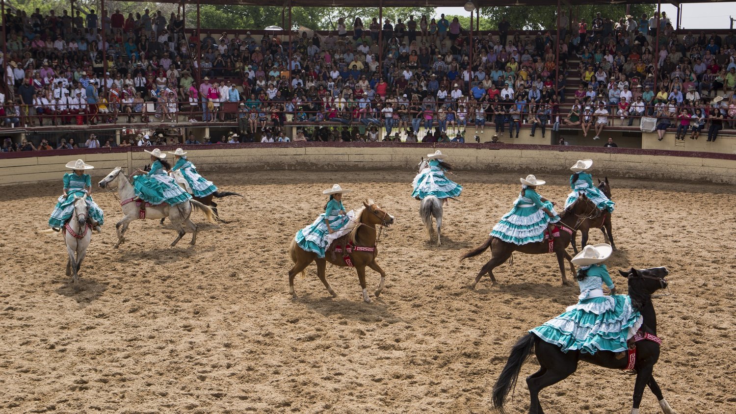 CPOY 70 Winners | CPOY